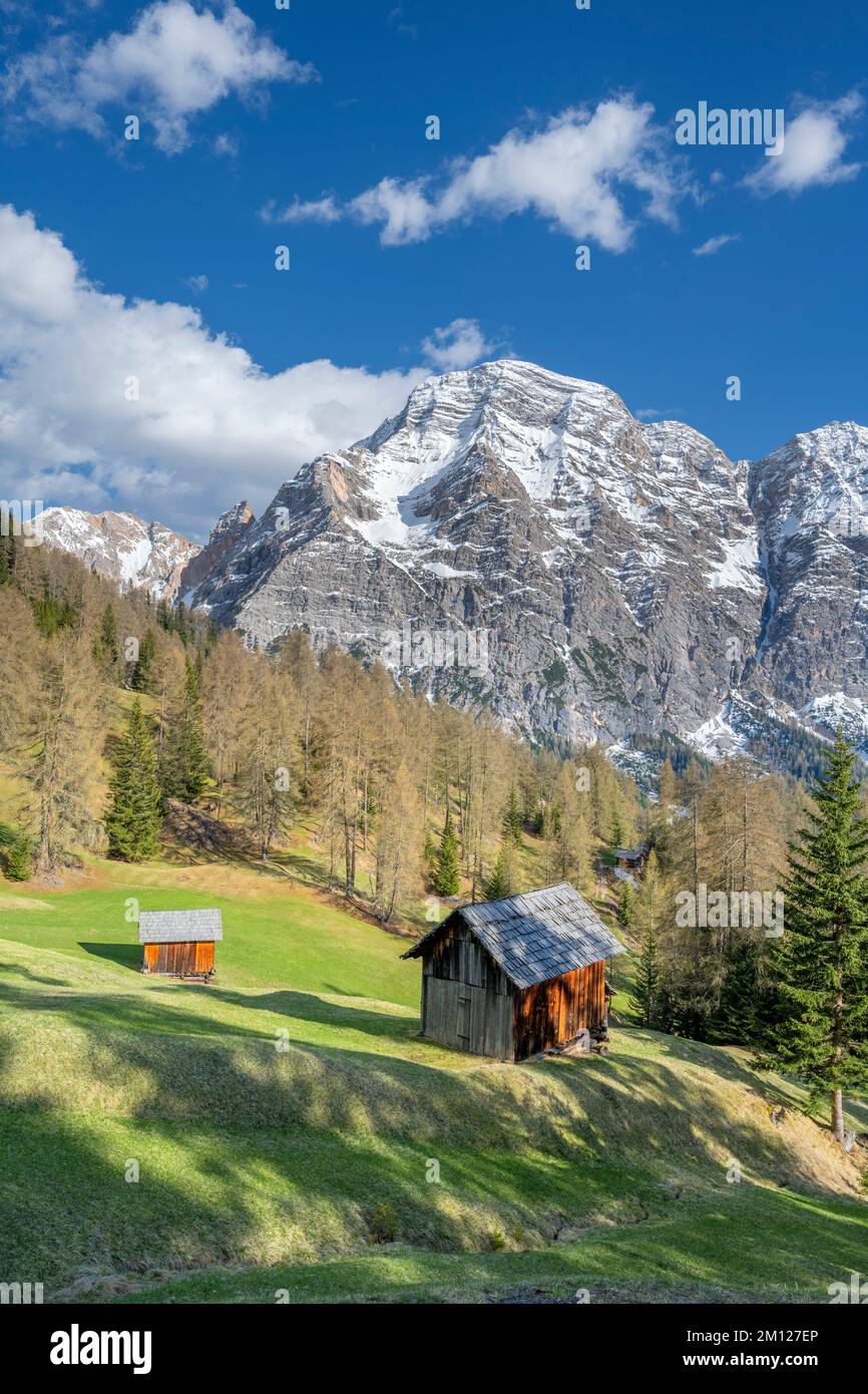 Italy barns on the ritwiesen in the back the neunerspitze hi-res stock ...