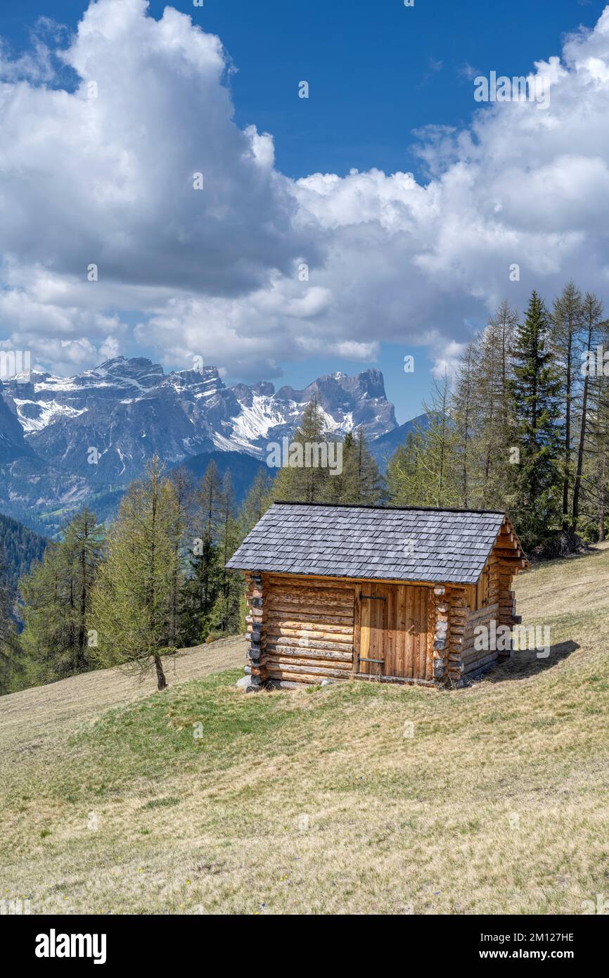 Wengen, High Abbey, Province of Bolzano, South Tyrol, Italy. Barn on ...