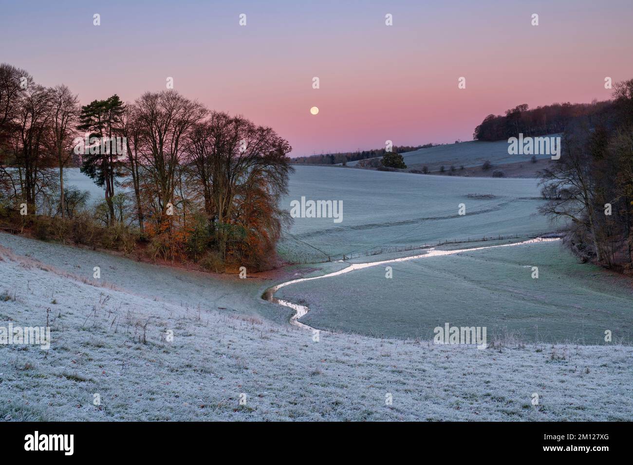 River Leach in the frost with the full moon through the Hatherop estate ...
