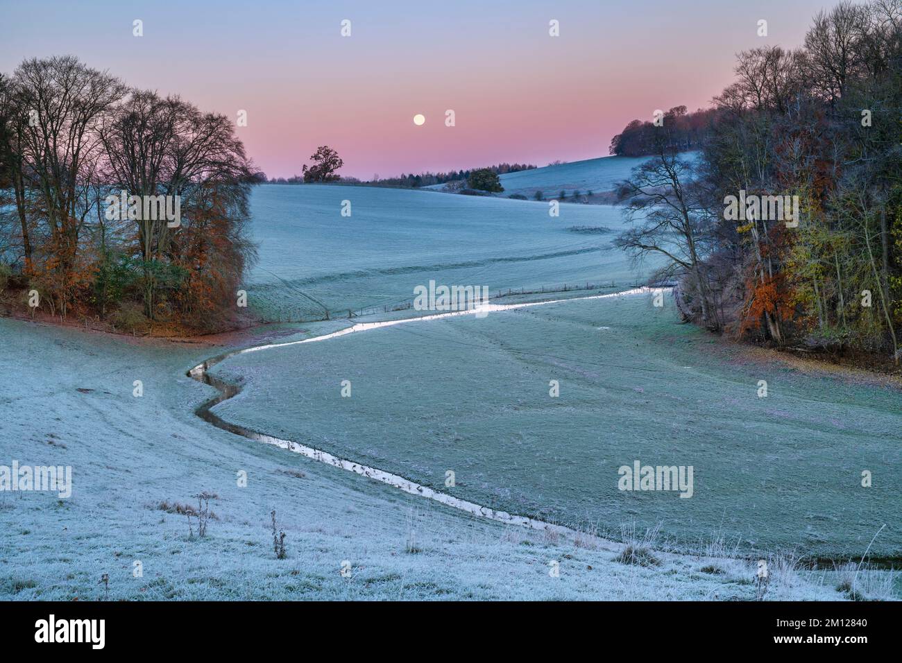 River Leach in the frost with the full moon through the Hatherop estate ...