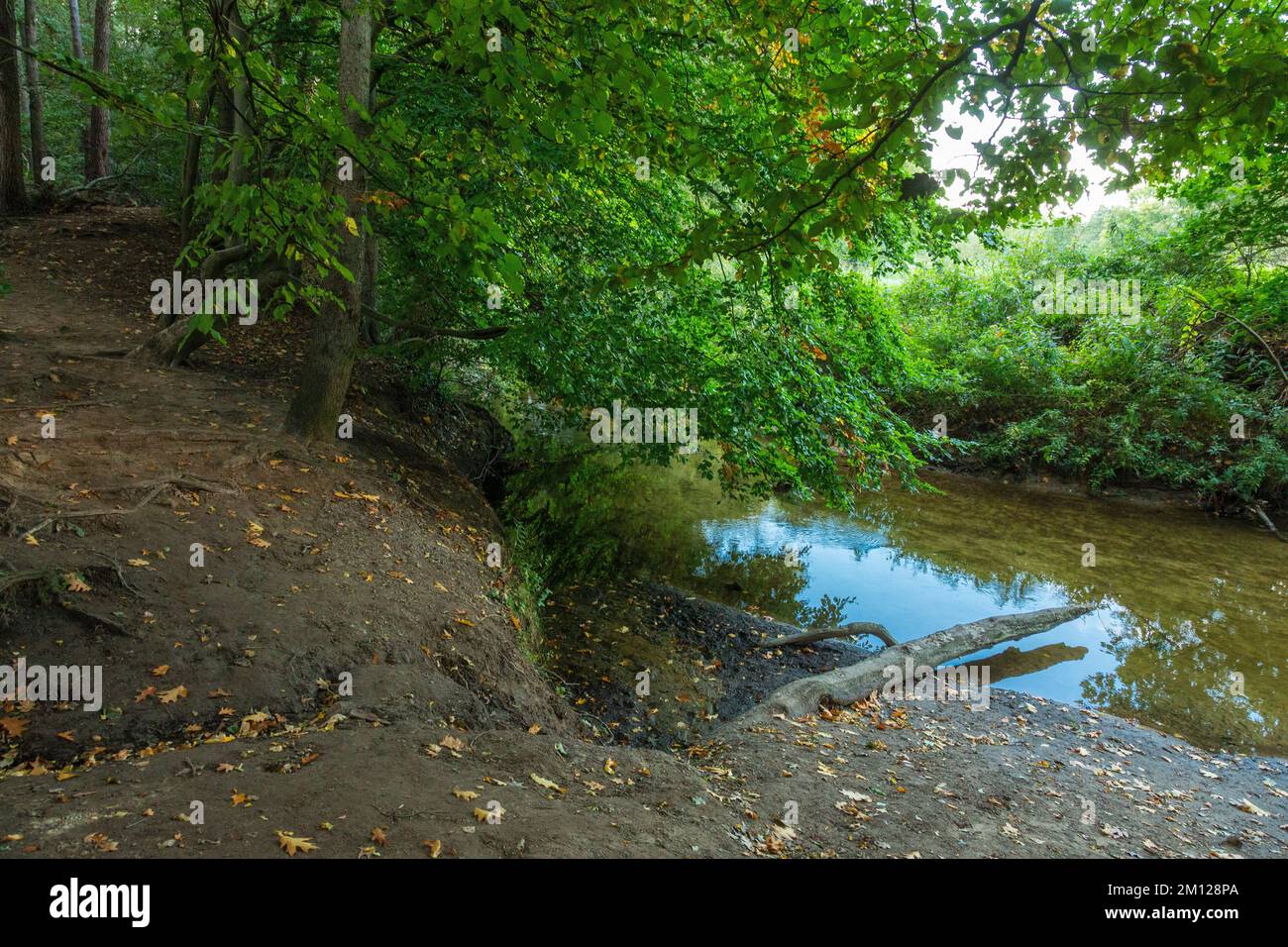 Rampart castle from the carolingian period in the middle ages hi-res ...