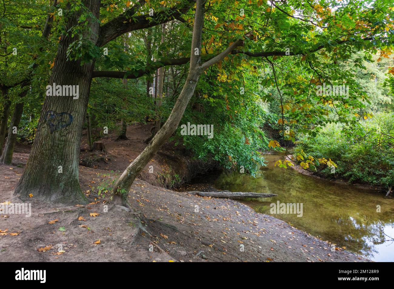 Rampart castle from the carolingian period in the middle ages hi-res ...