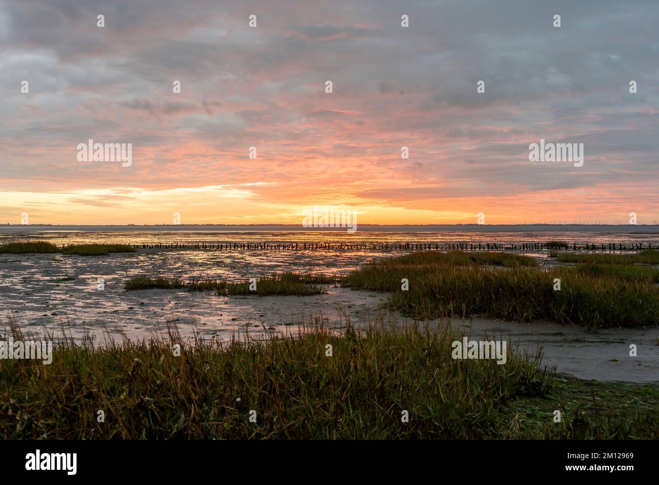 Sunrise in the Wadden Sea, Wadden Sea National Park, Rømø Island ...