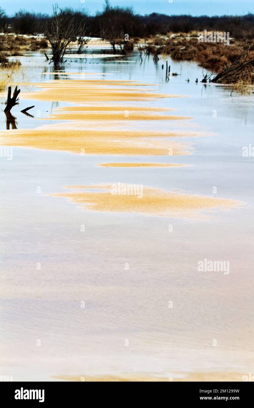 Spring sludge. Northern forest and swamp river. The beginning of ice ...