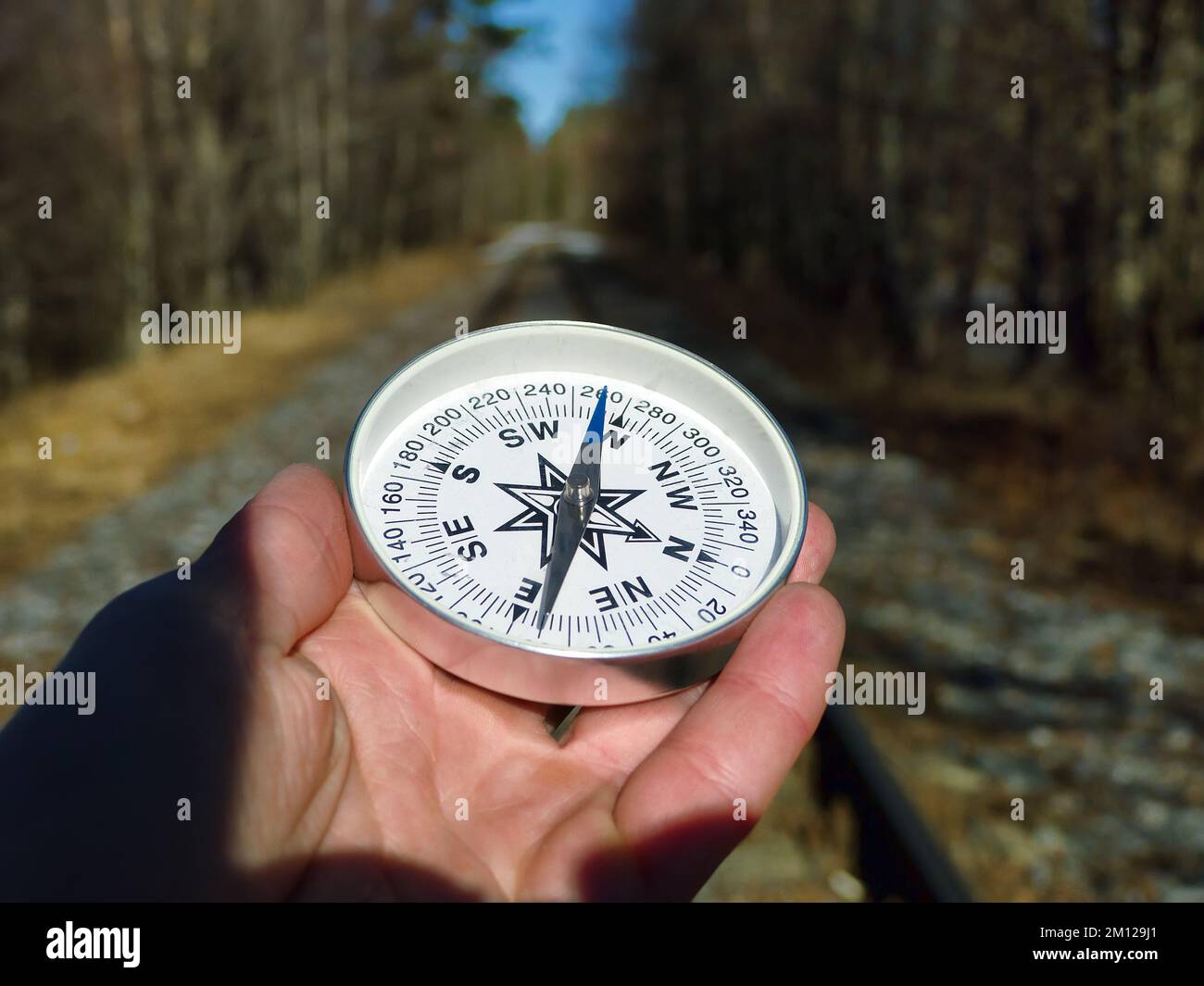 Spring calls for a journey. A forest road and a hiker's hand with a ...