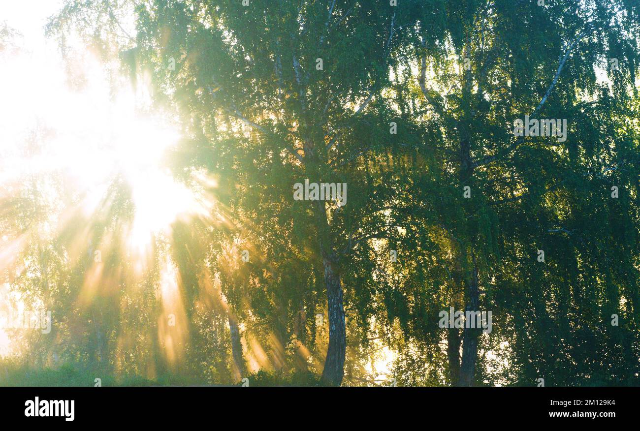 Seven ray sun hi-res stock photography and images - Alamy