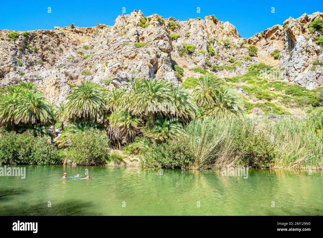 View of River Megalopotamos and Preveli palm forest, Rethymno, Crete ...