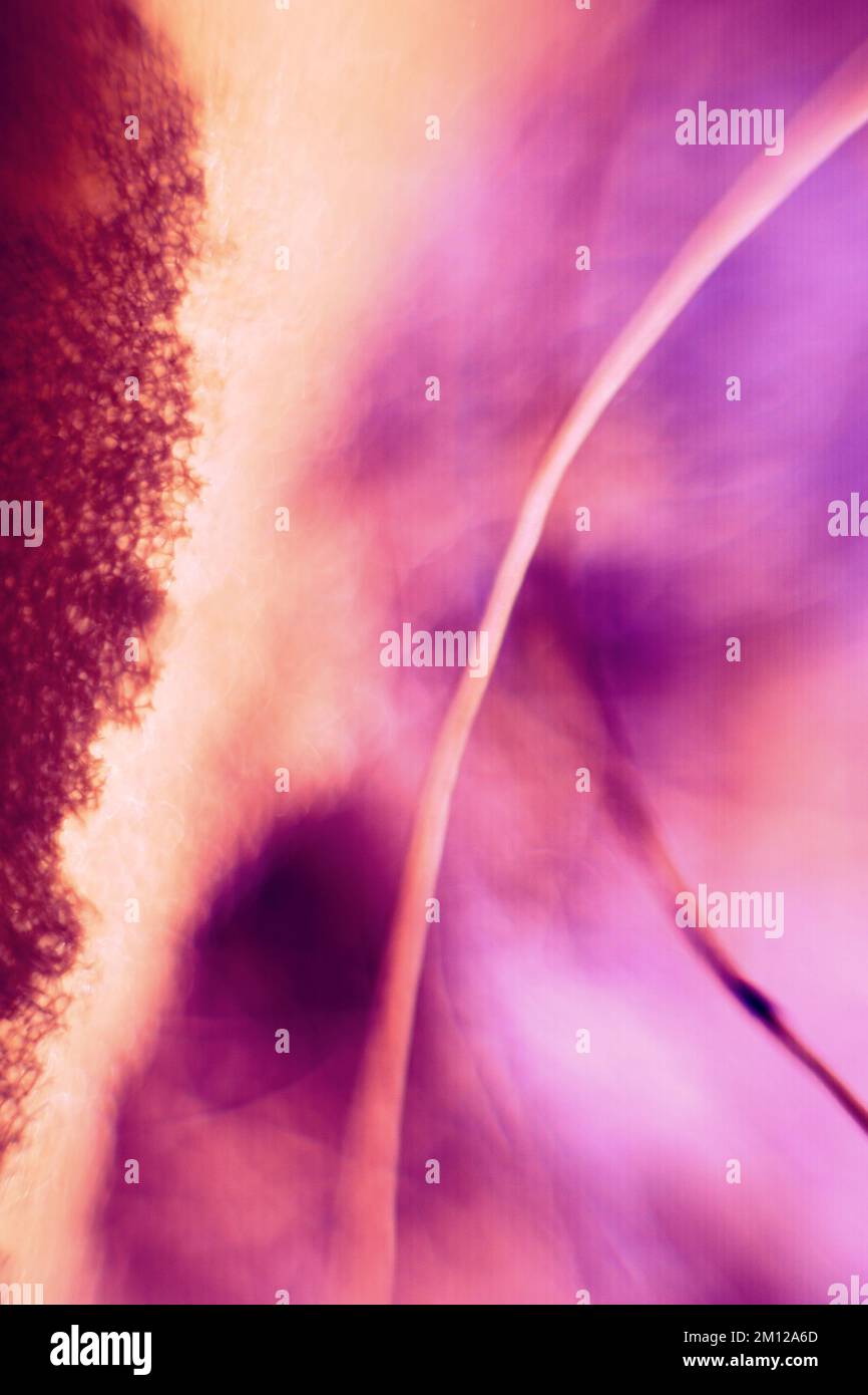 Blurred four-dimensional space (leaky sky, the wormhole concept ...