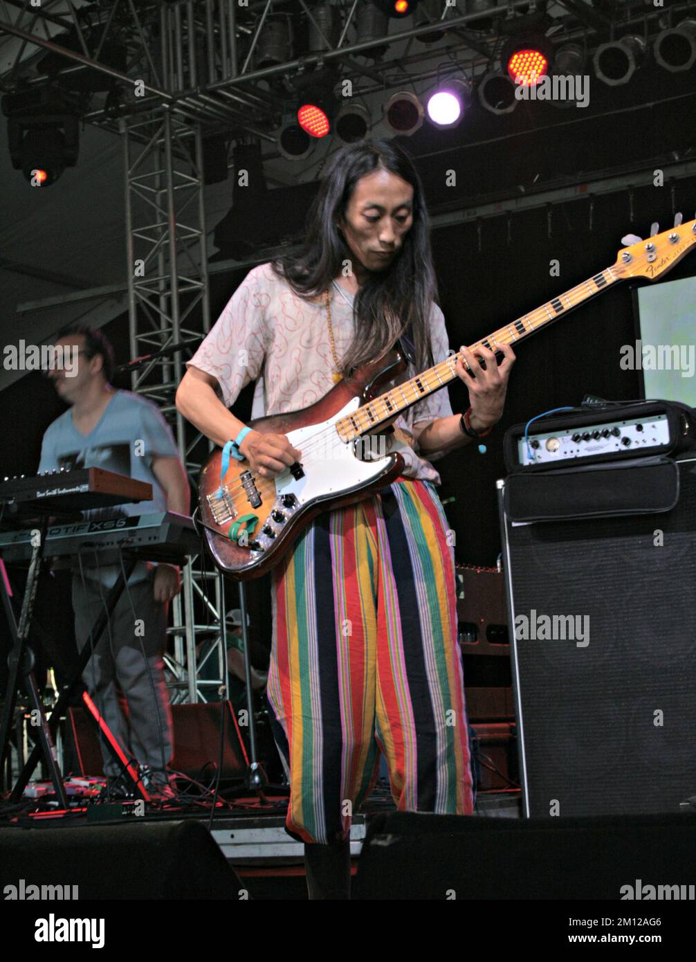 The Bonnaroo Music and Arts Festival - Ariel Pink in concert Stock ...