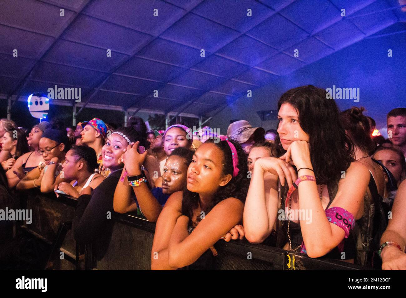 The Bonnaroo Music and Arts Festival - Crowds Stock Photo - Alamy