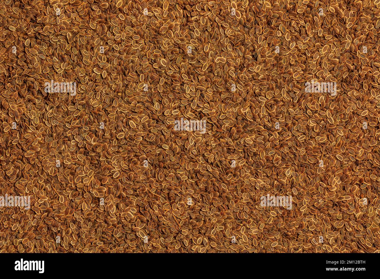 Whole dill seeds close-up. Anetum graveolens organic fruit for ...