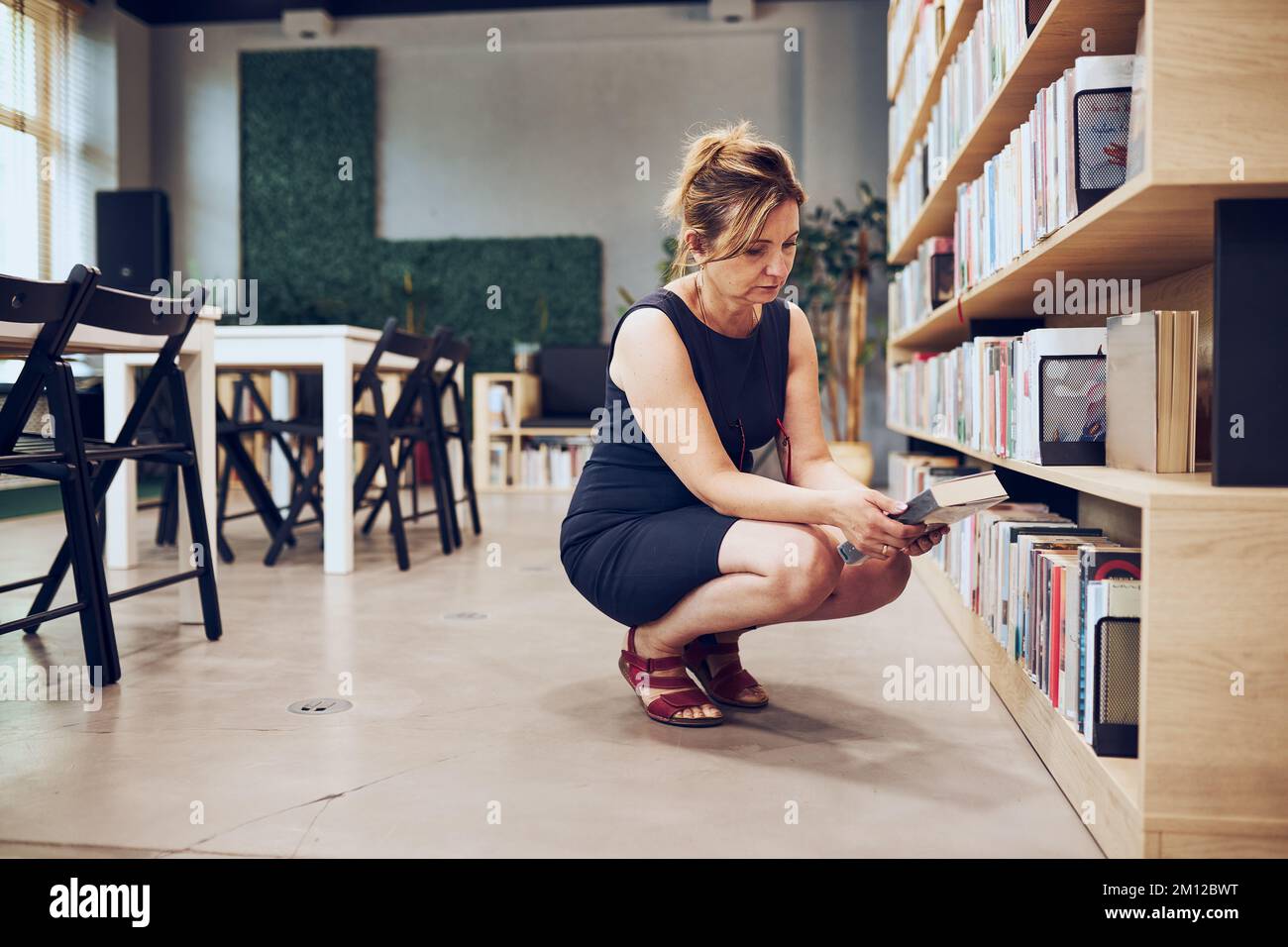 Woman choosing book in public library. Selecting books. Searching for ...