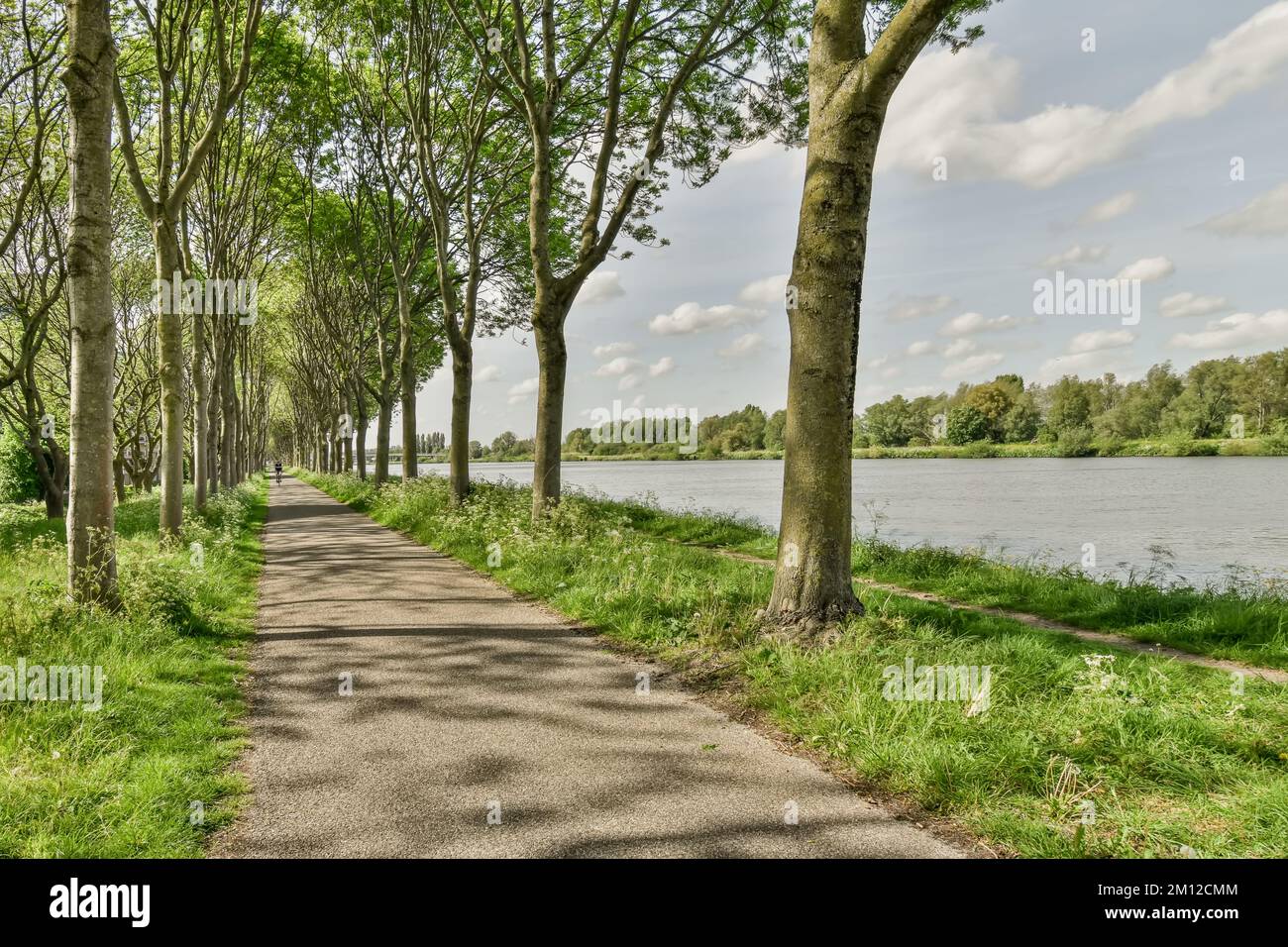 the path along the river with trees on either side and blue skies in ...