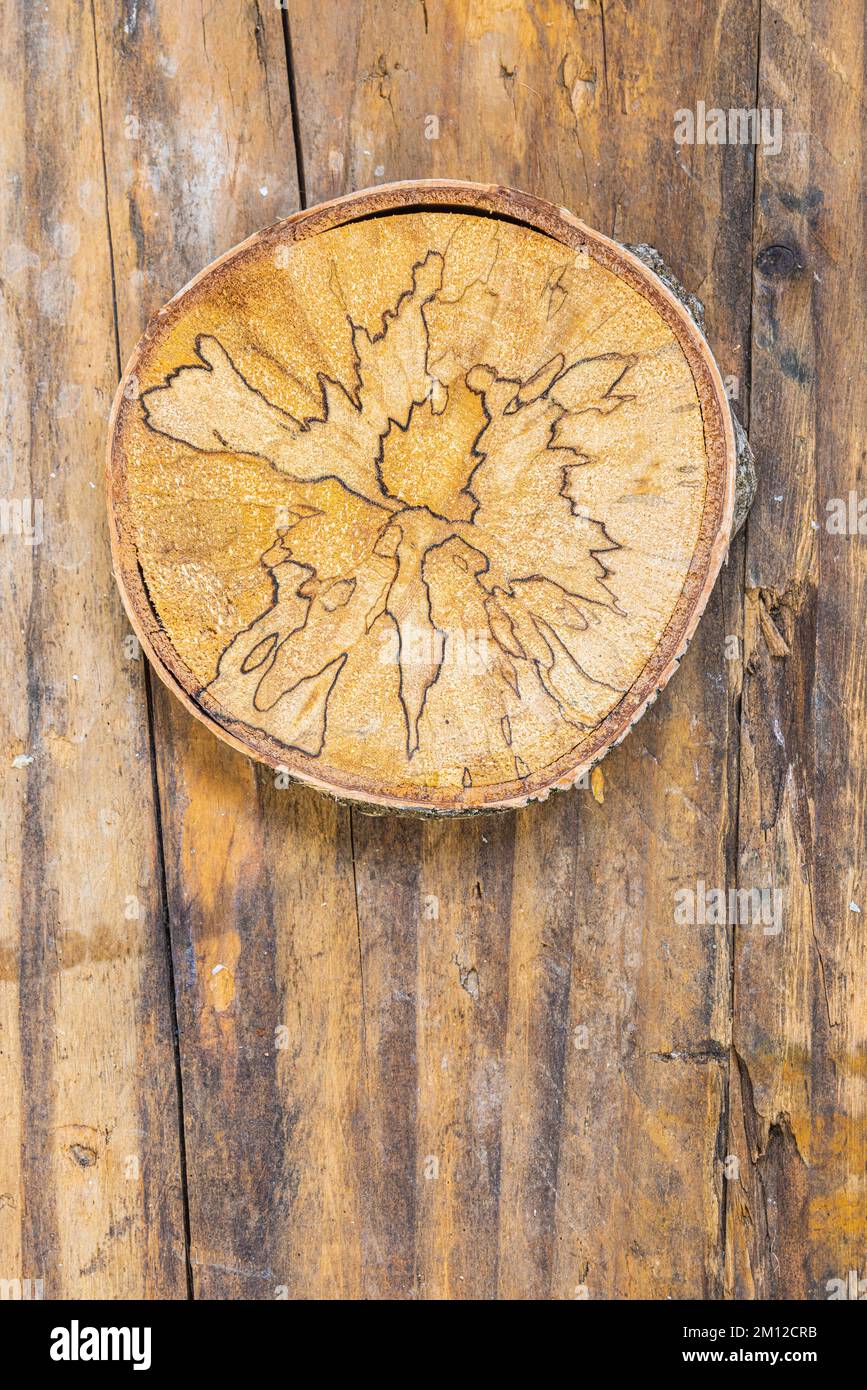 Decorative slice hi-res stock photography and images - Alamy