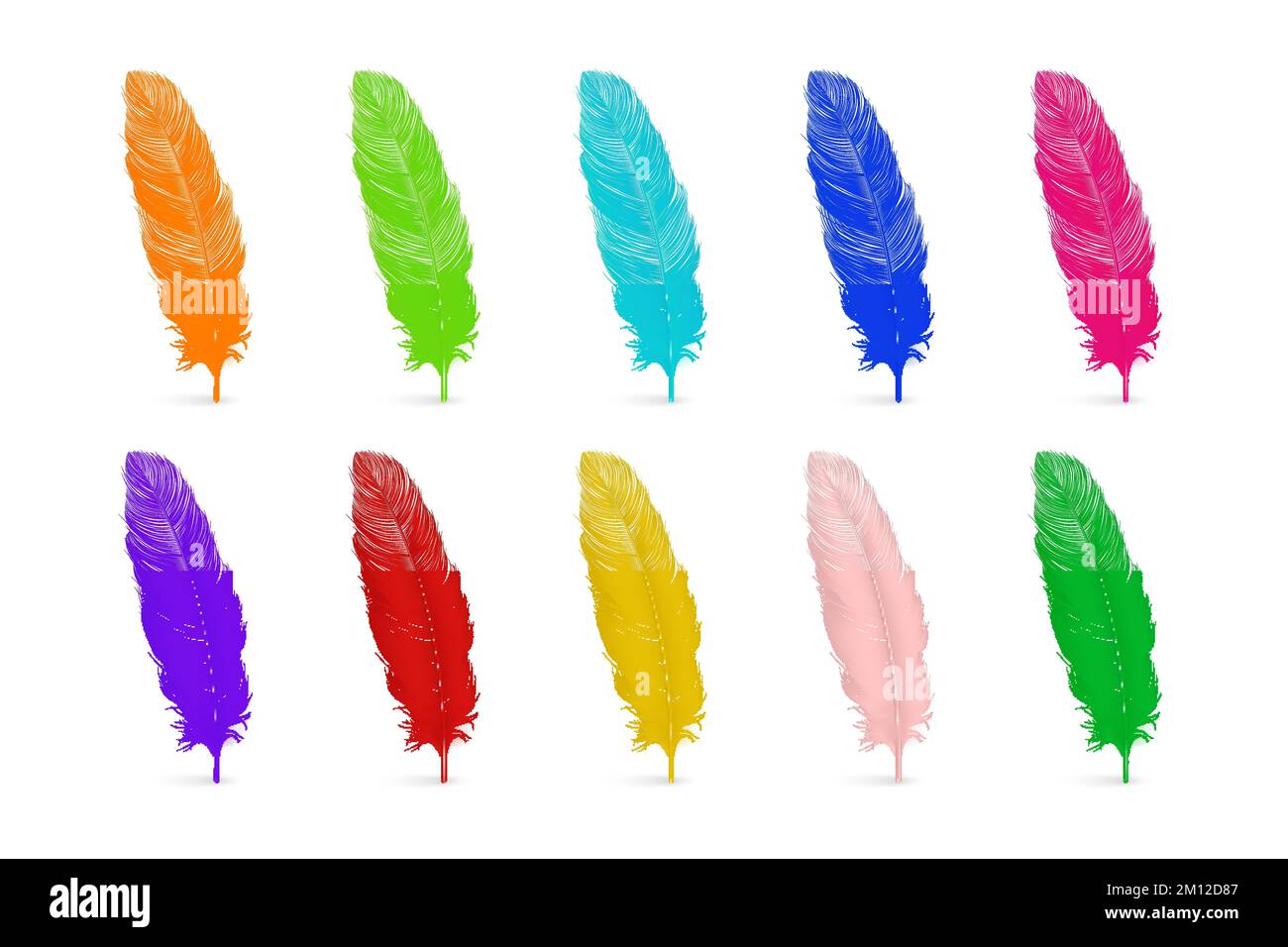 Vector 3d Realistic Multicolored Fluffy Feather Set Isolated on White ...