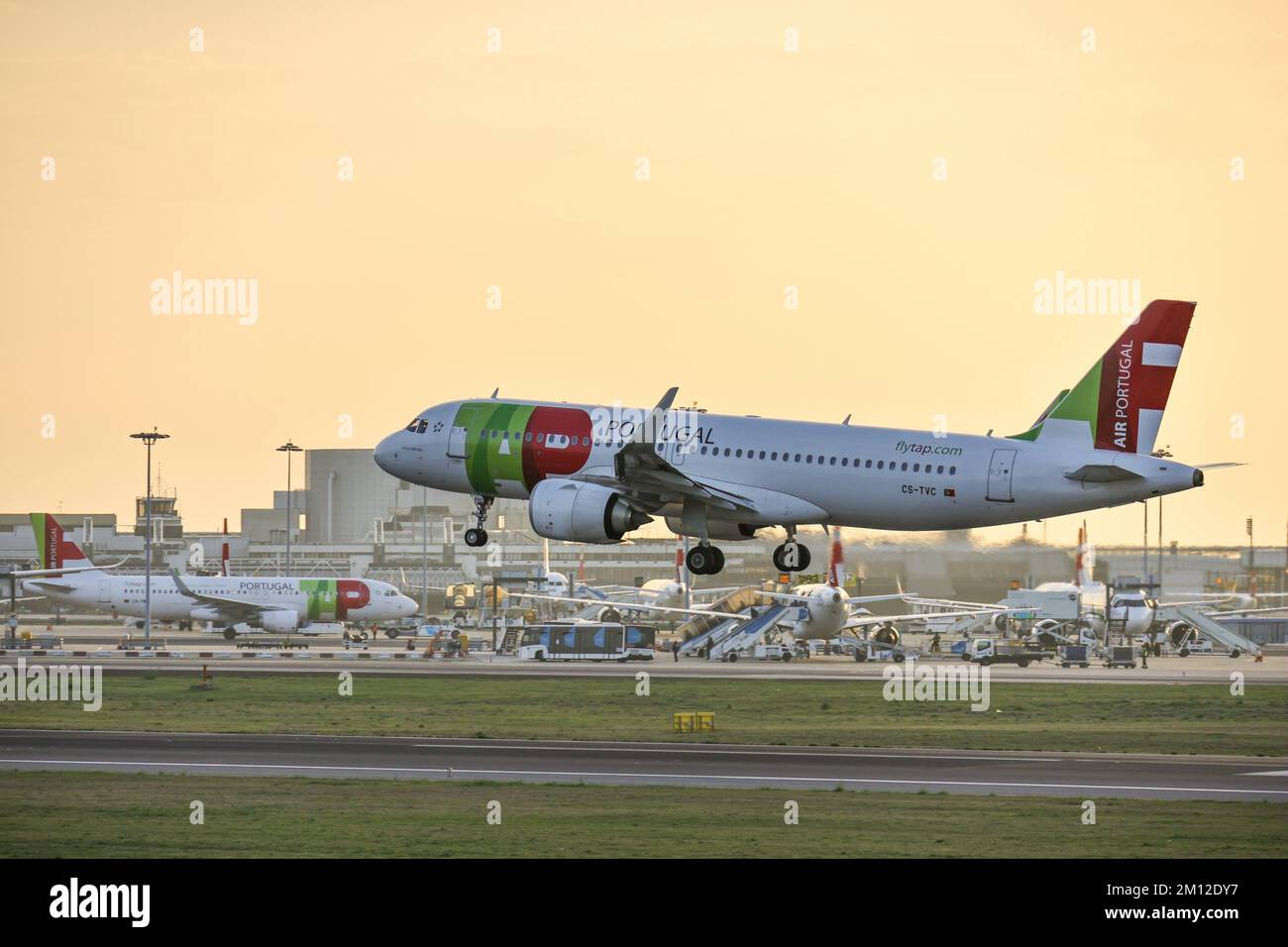 A side view of the TAP Air Portugal airplane departing from Humberto ...