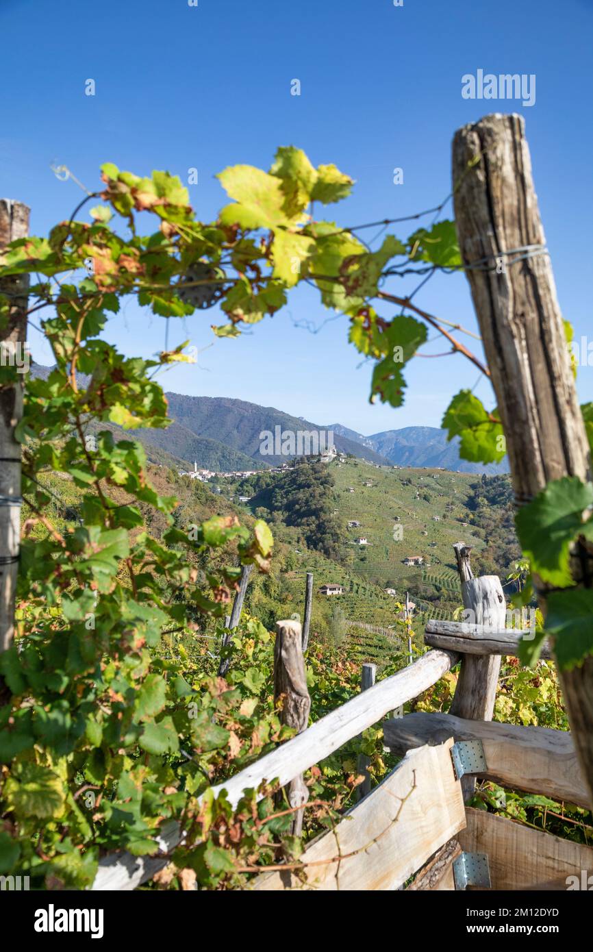 Municipality of miane hi-res stock photography and images - Alamy