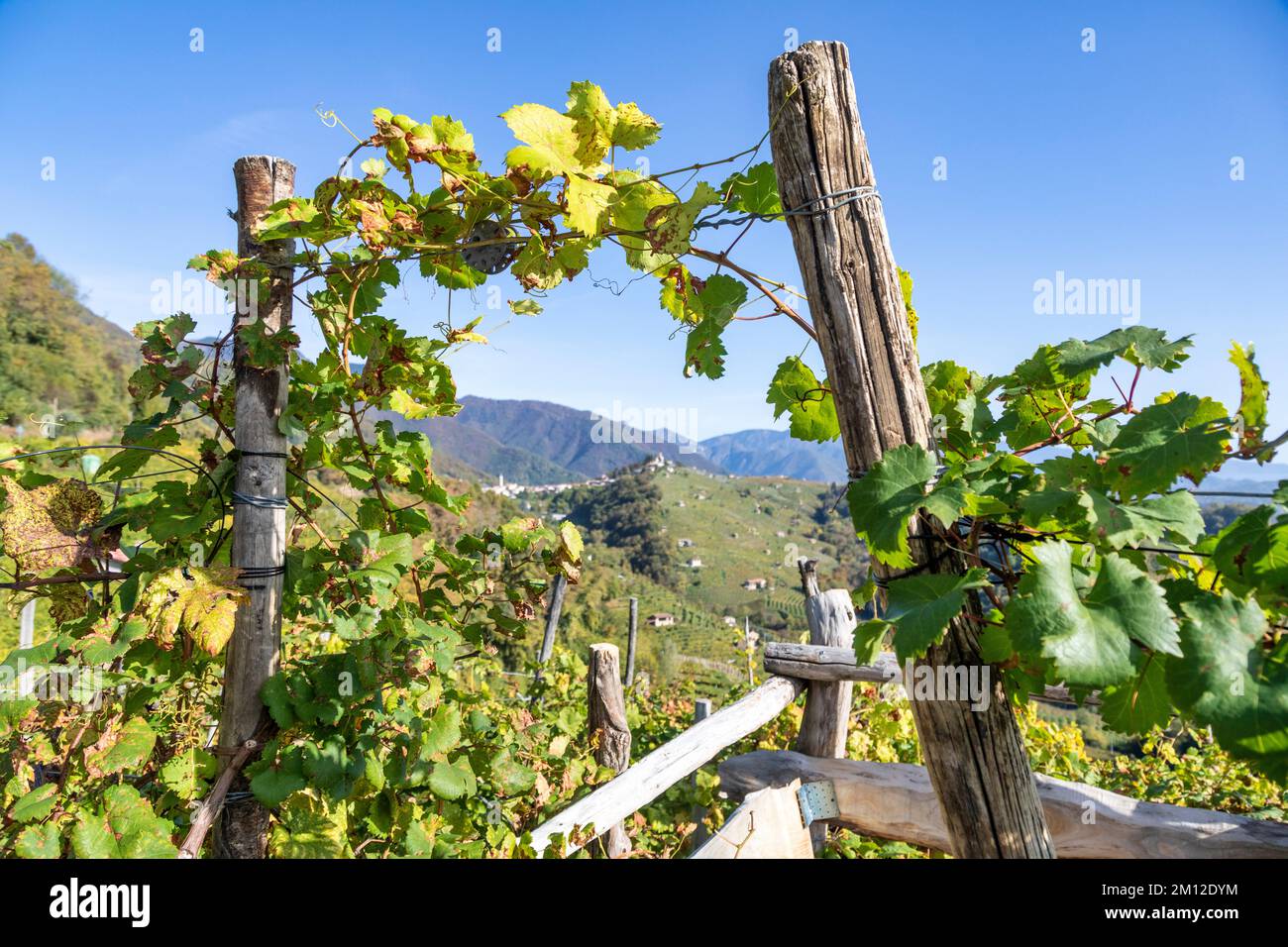 Municipality of miane hi-res stock photography and images - Alamy