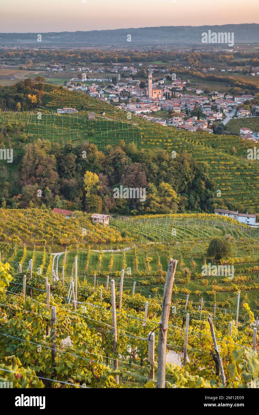 Italy, Veneto, province of Treviso, Farra di Soligo. View between the ...