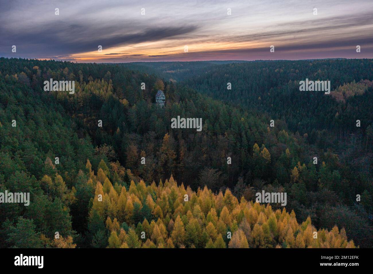 The duke's chair at the Rieseneck hunting lodge in Thuringia Stock ...