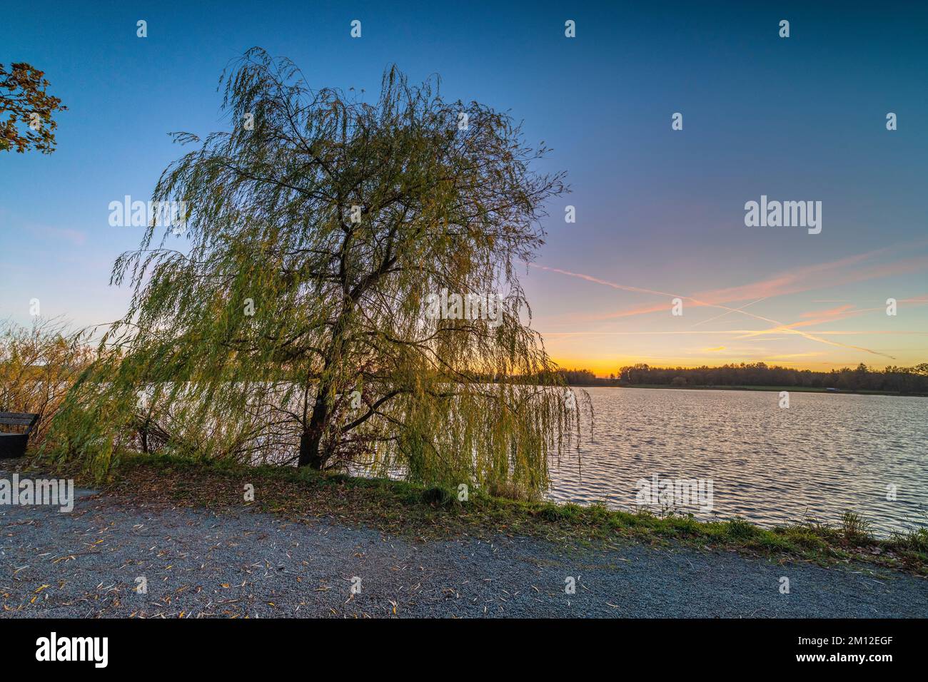 With 28 hectares, the Hausteich near Plothen is the largest pond of an ...