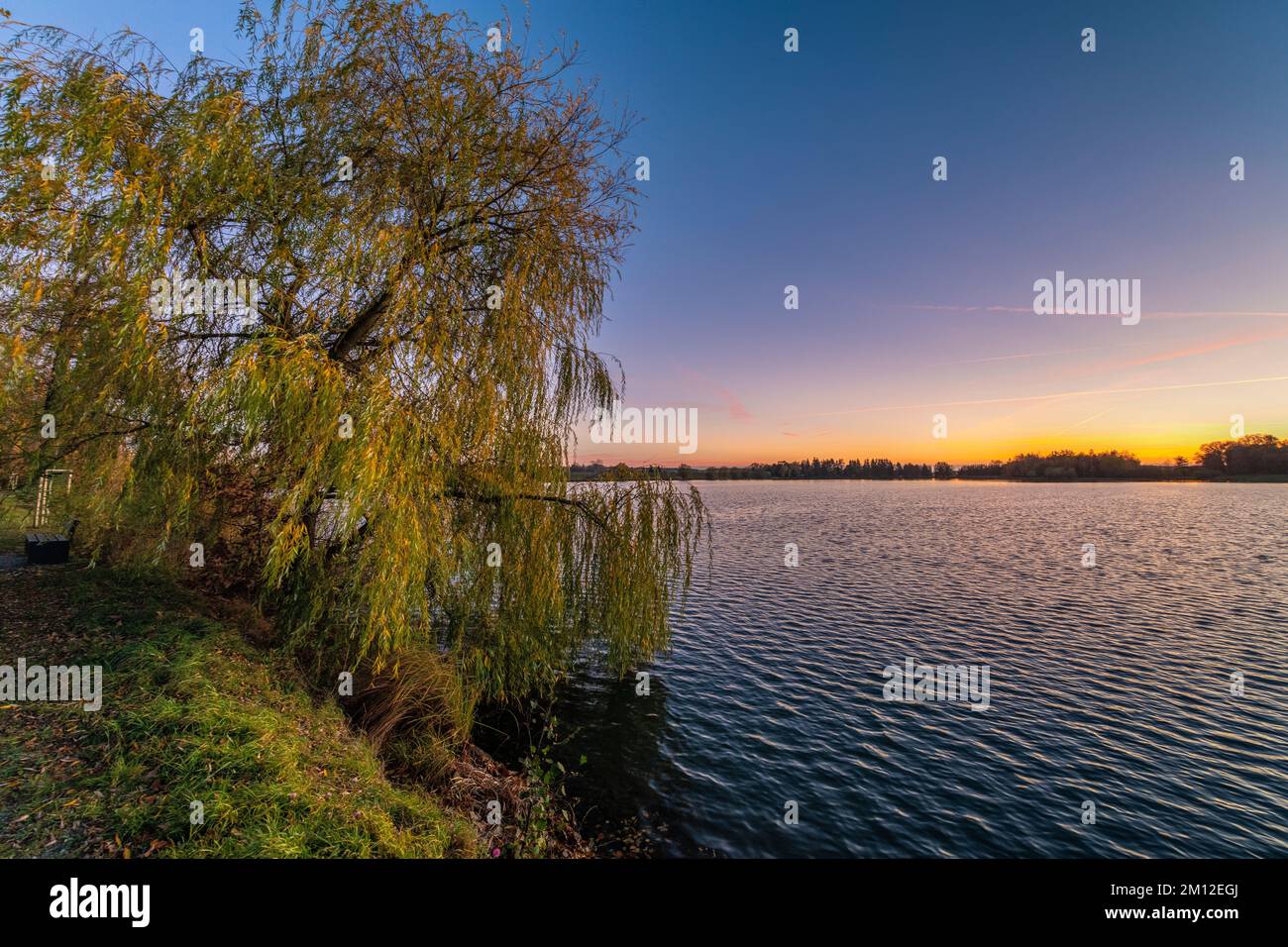With 28 hectares, the Hausteich near Plothen is the largest pond of an ...