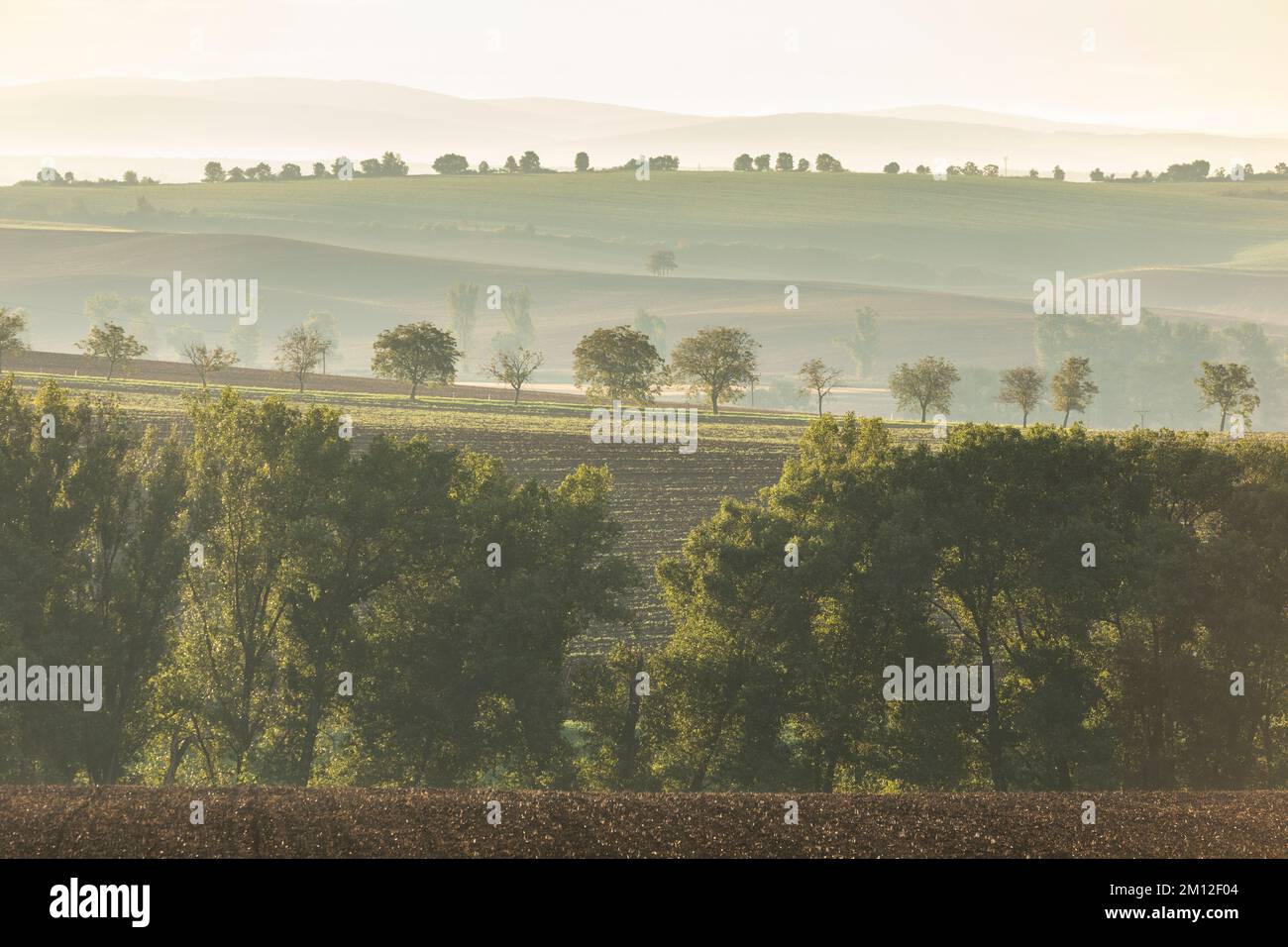 South moravian region hi-res stock photography and images - Alamy