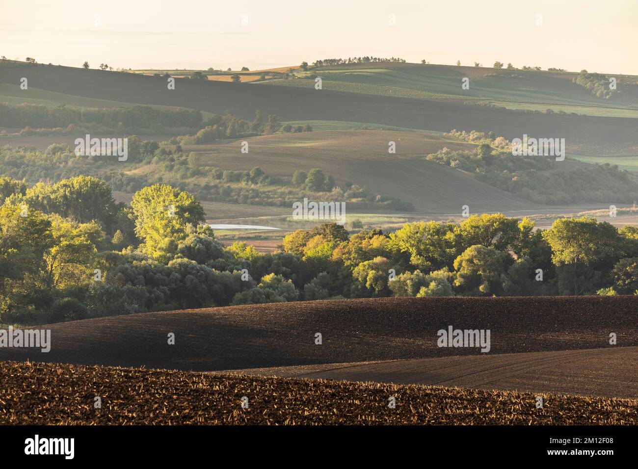 Europe, Czech, South Moravian Region, Hodonin District, Scenic view of ...