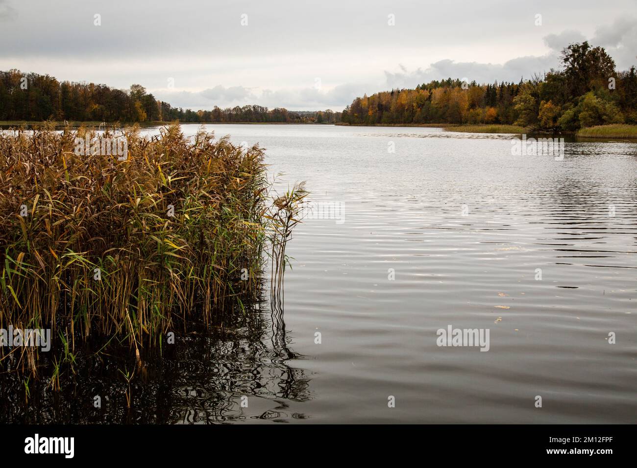 The land of the great masurian lakes lekuk lake hi-res stock ...