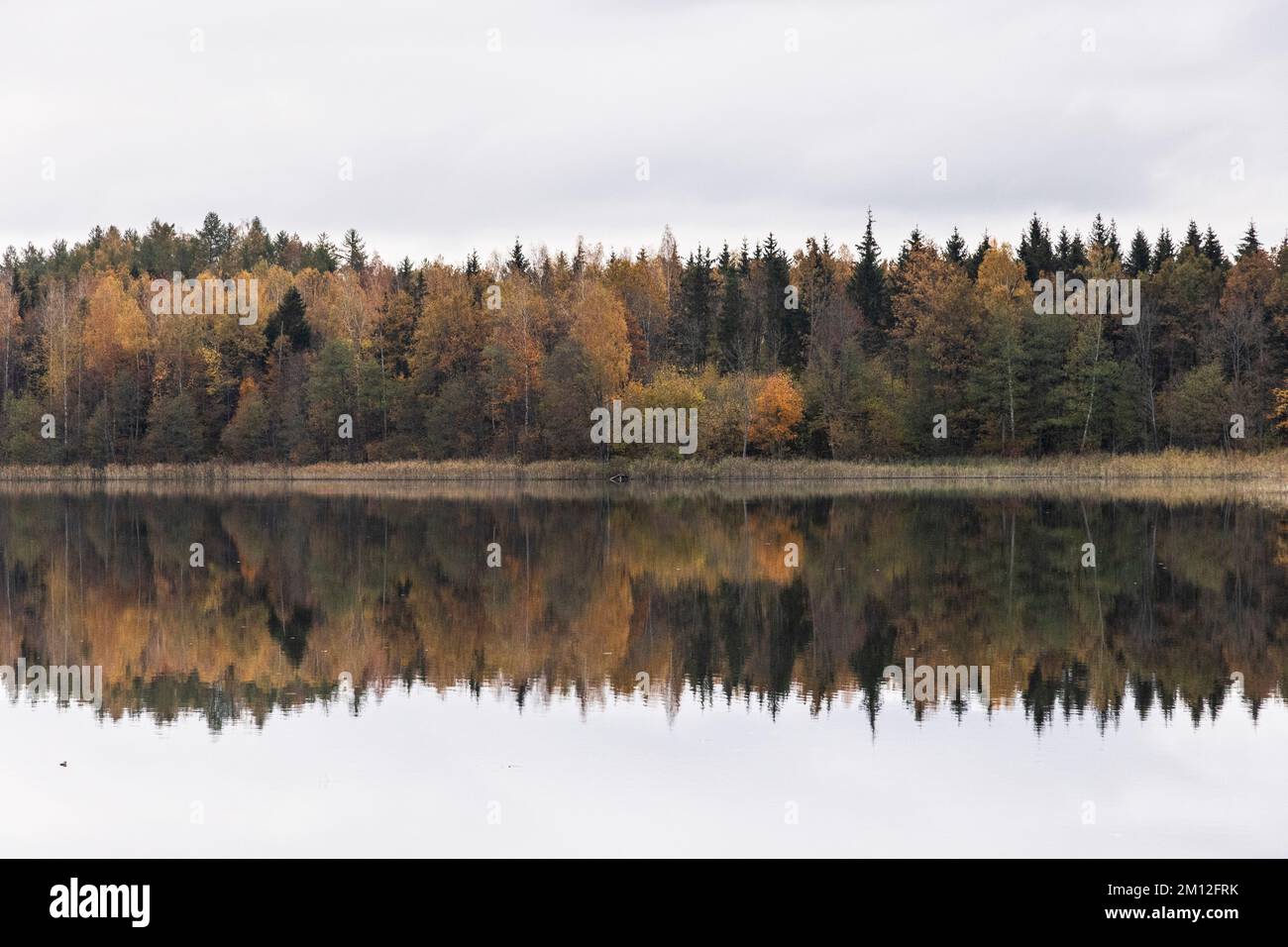 The land of the great masurian lakes lekuk lake hi-res stock ...