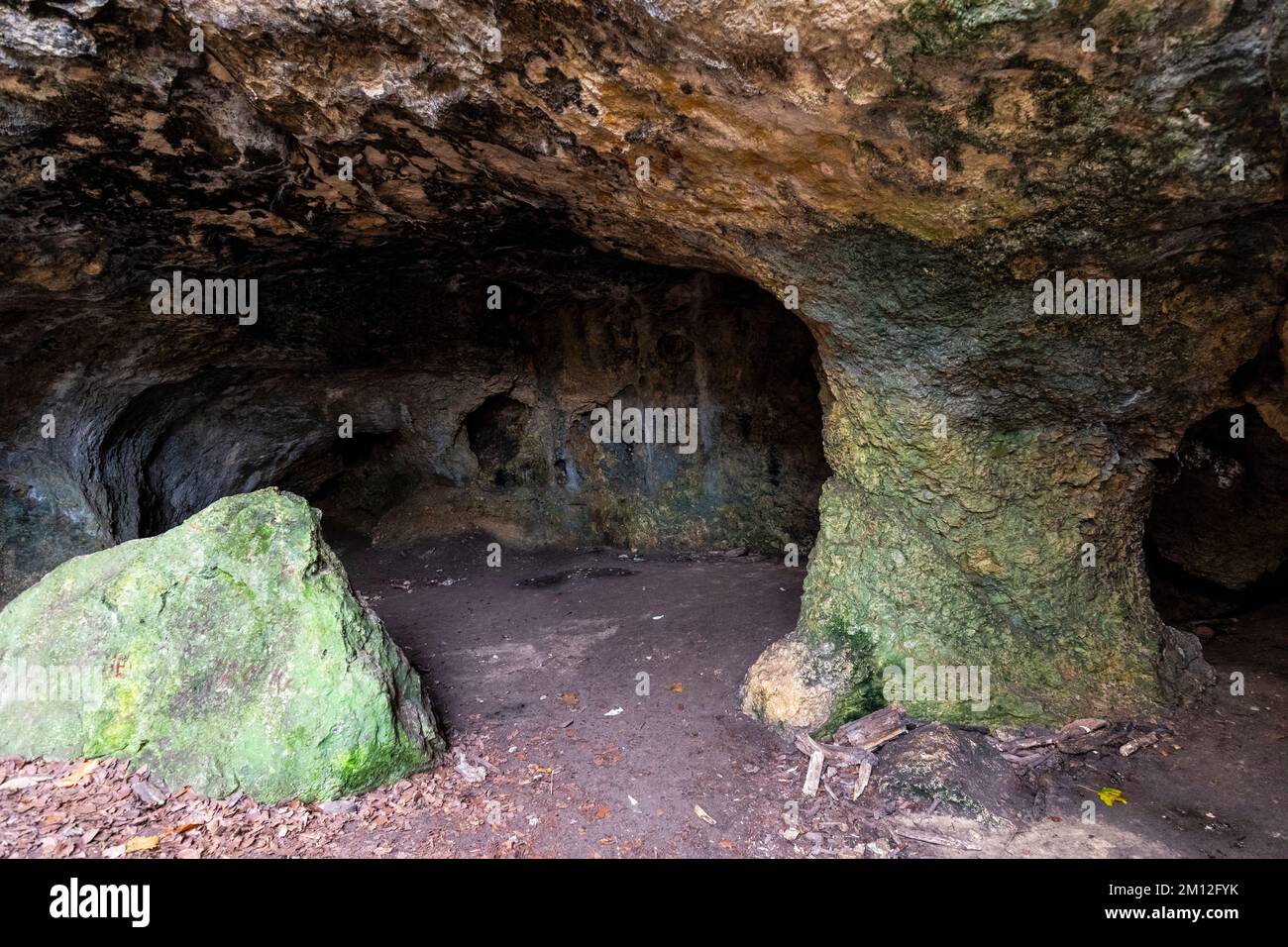 Grota niedzwiedzia hi-res stock photography and images - Alamy