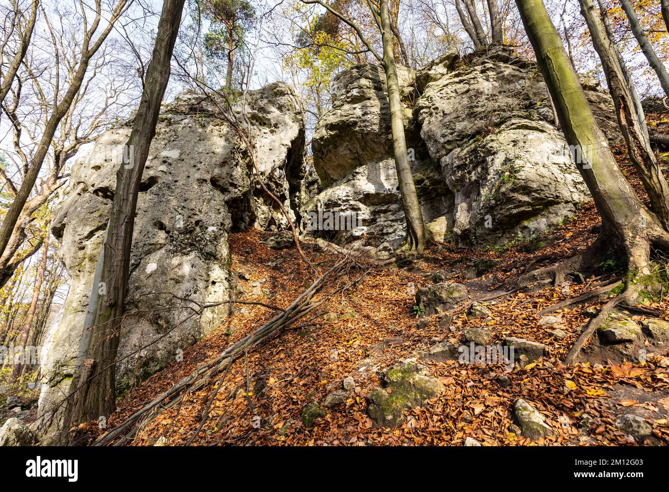 Europe, Poland, Silesia, Krakow-Czestochowa Upland / Polish Jurassic ...