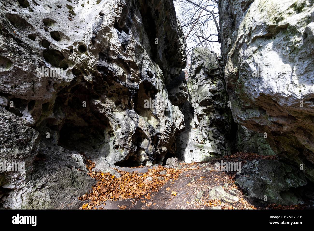 Europe, Poland, Silesia, Krakow-Czestochowa Upland / Polish Jurassic ...