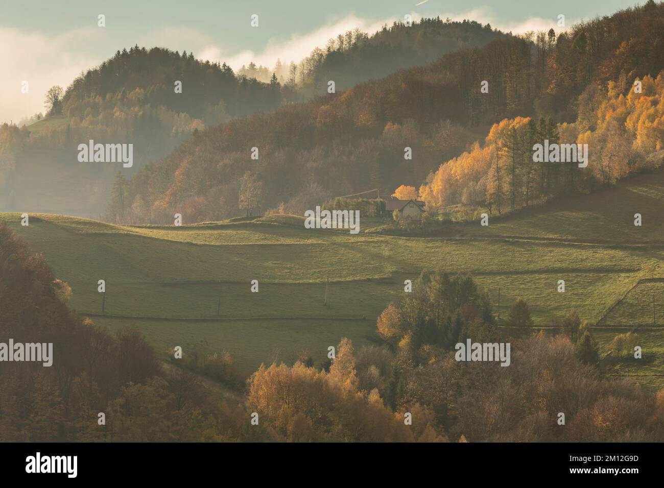 Aerial view poland autumn trees hi-res stock photography and images - Alamy