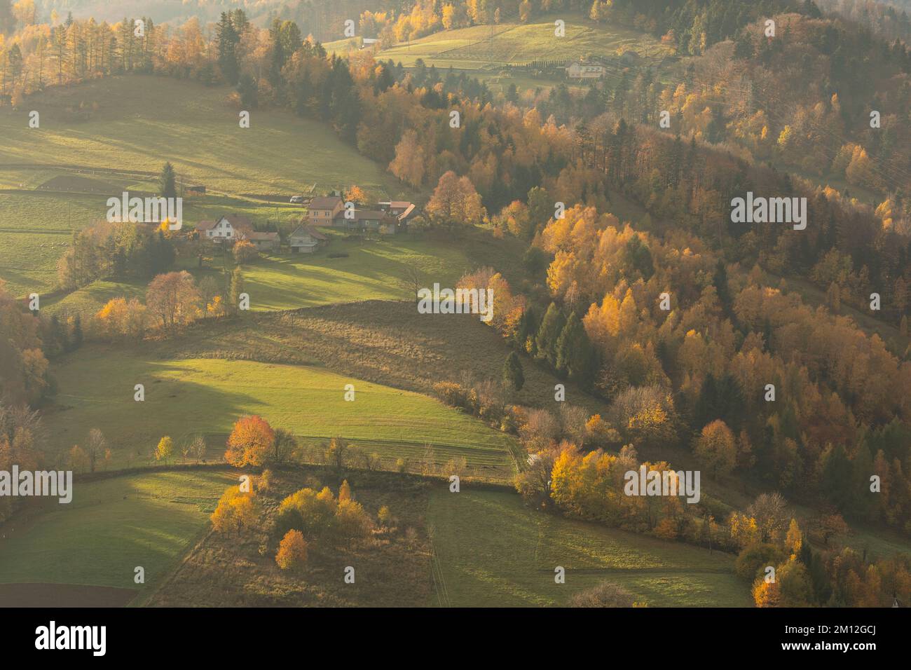 Aerial view poland autumn trees hi-res stock photography and images - Alamy