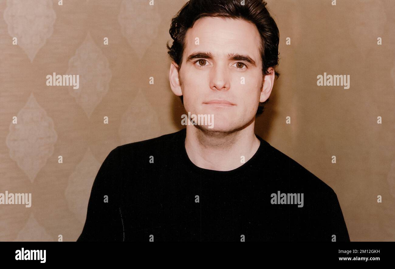 Retro celebrity portraits - Matt Dillon, at a press conference event ...