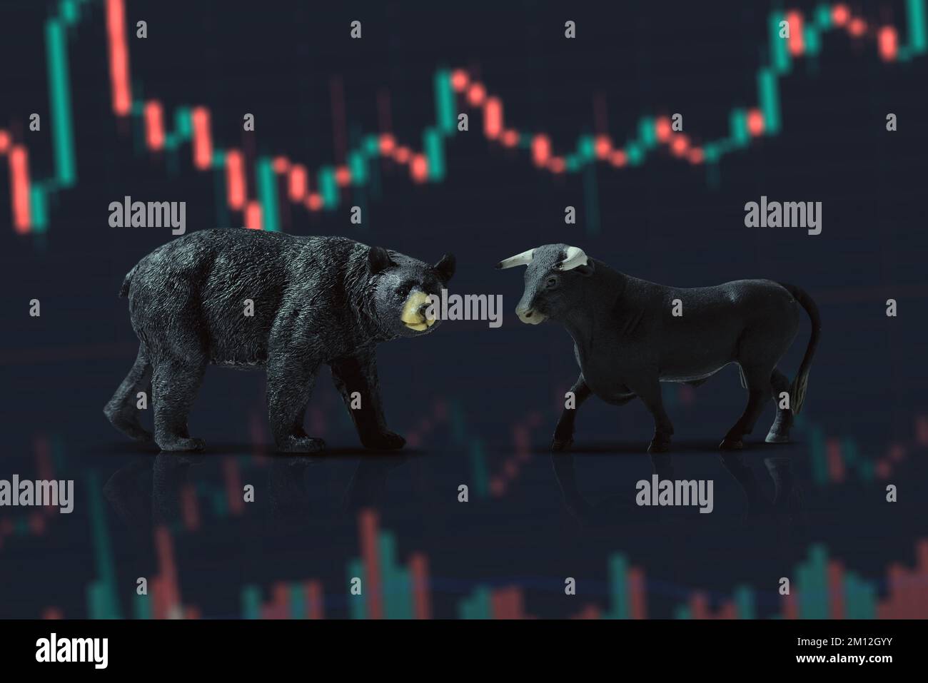 Close up shot of a Bear and bull on a stock market chart background ...