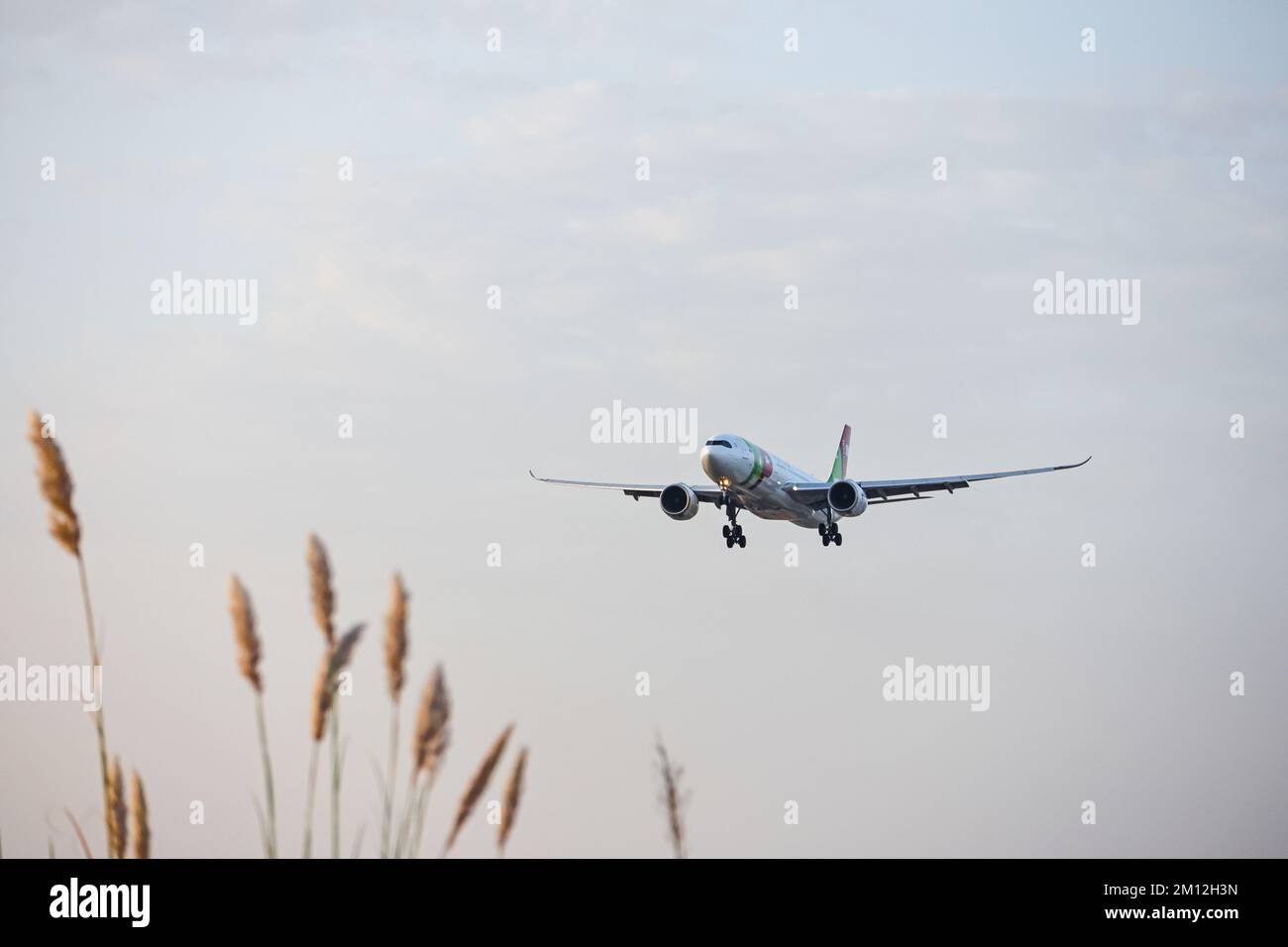 A low-angle view of the TAP Air Portugal airplane landing in Humberto ...