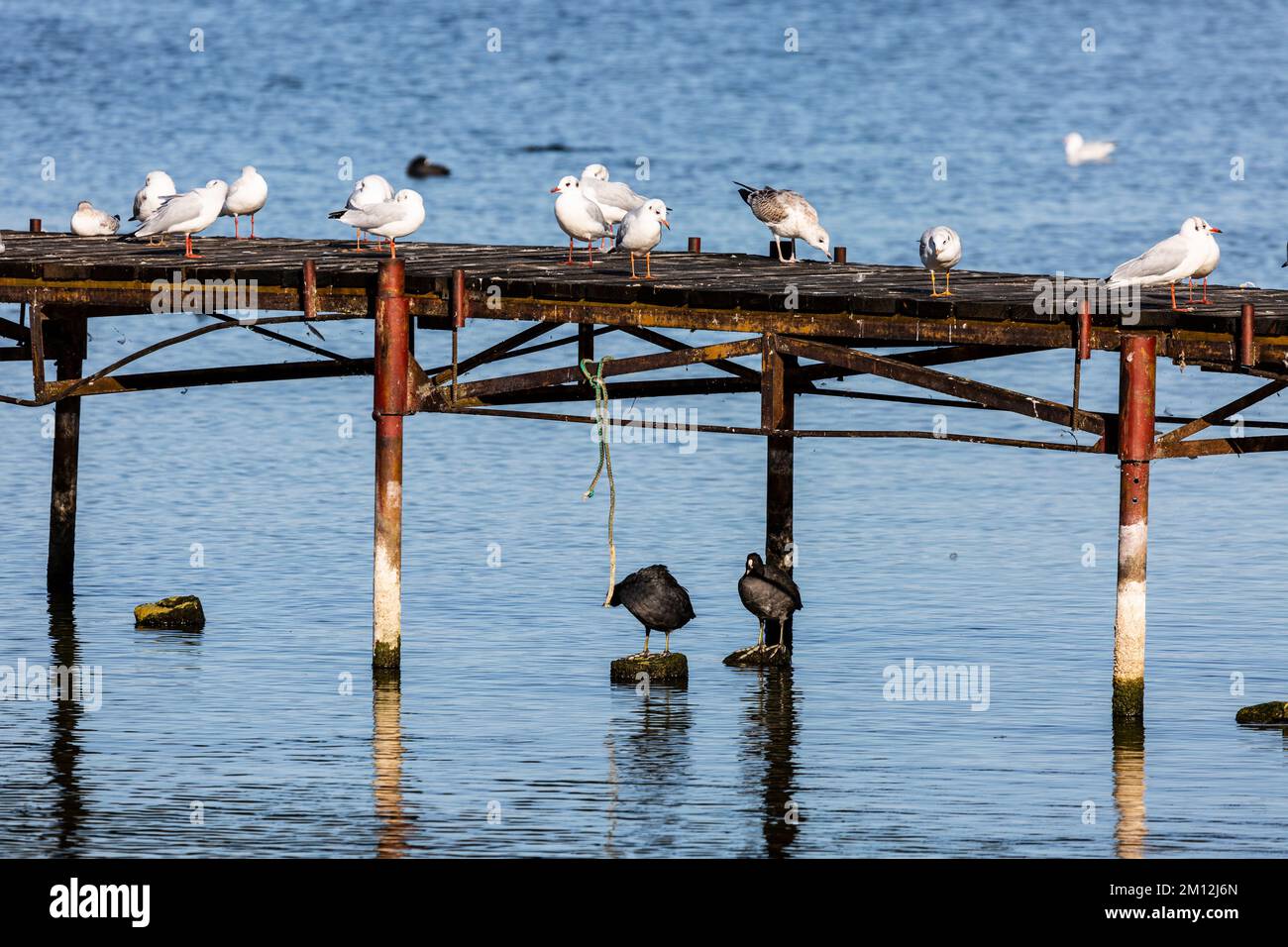 Pojezierze drawskie drawsko see hi-res stock photography and images - Alamy