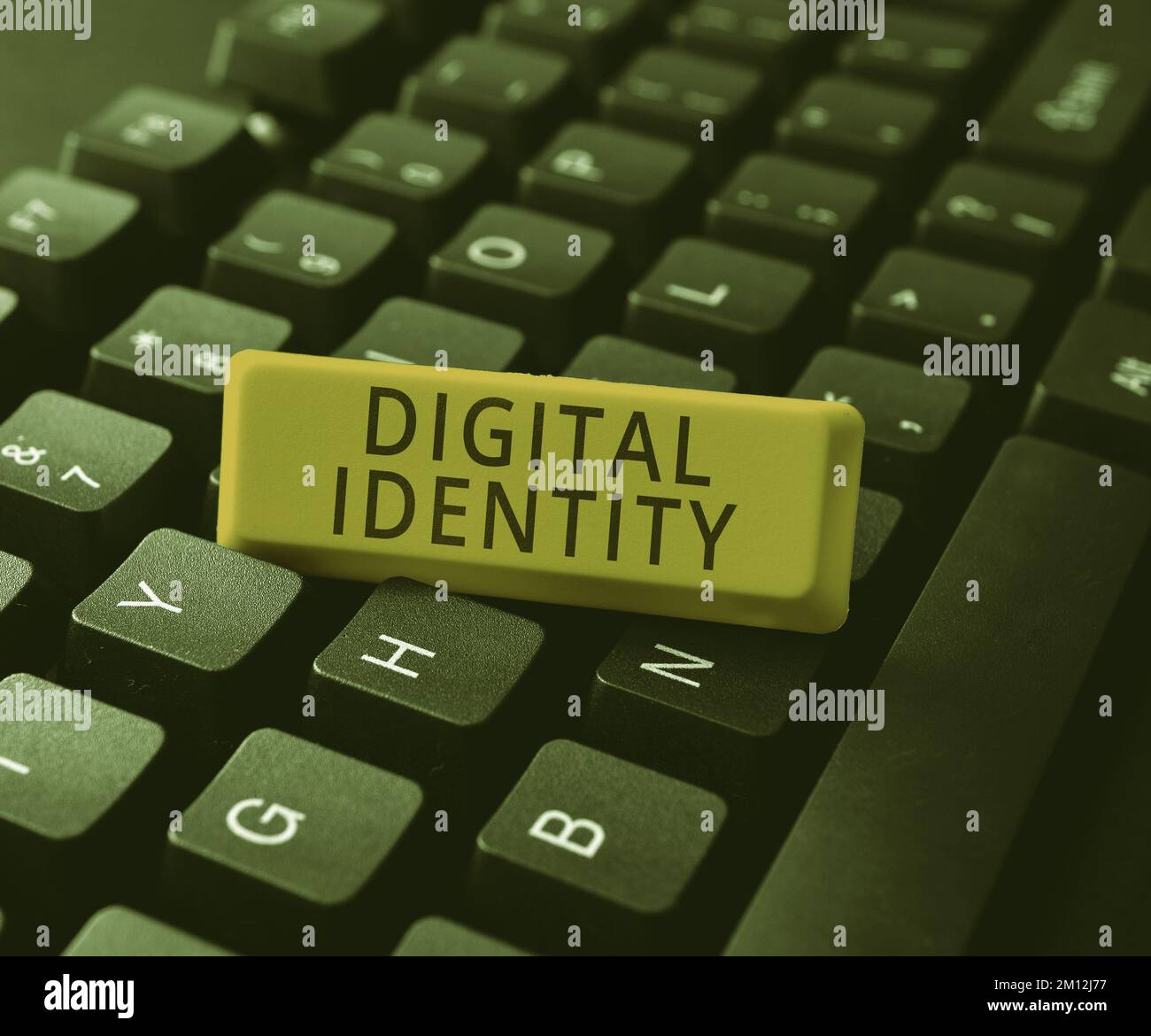 Text caption presenting Digital Identity. Internet Concept networked ...