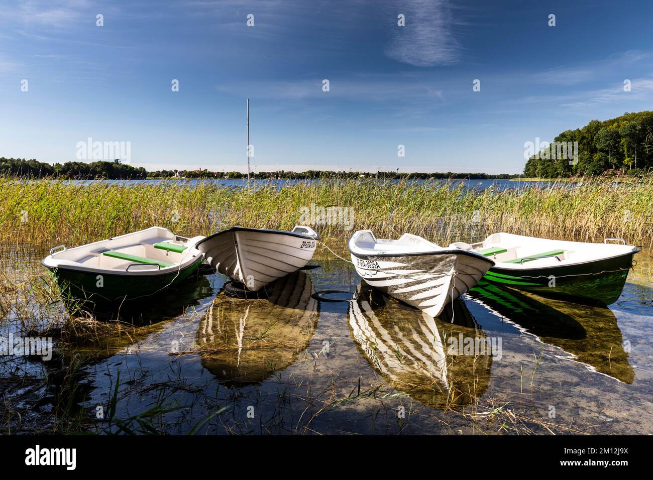 Europe, Poland, West Pomeranian Voivodeship, Jezioro Insko Stock Photo ...