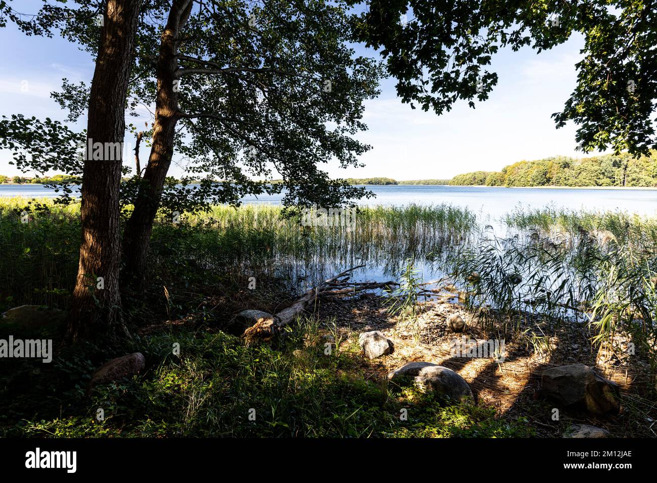 Europe, Poland, West Pomeranian Voivodeship, Jezioro Insko Stock Photo ...