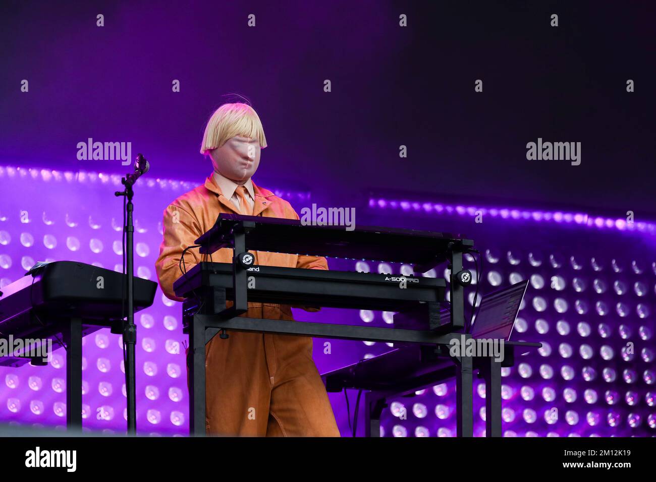 St vincent singer hi-res stock photography and images - Alamy
