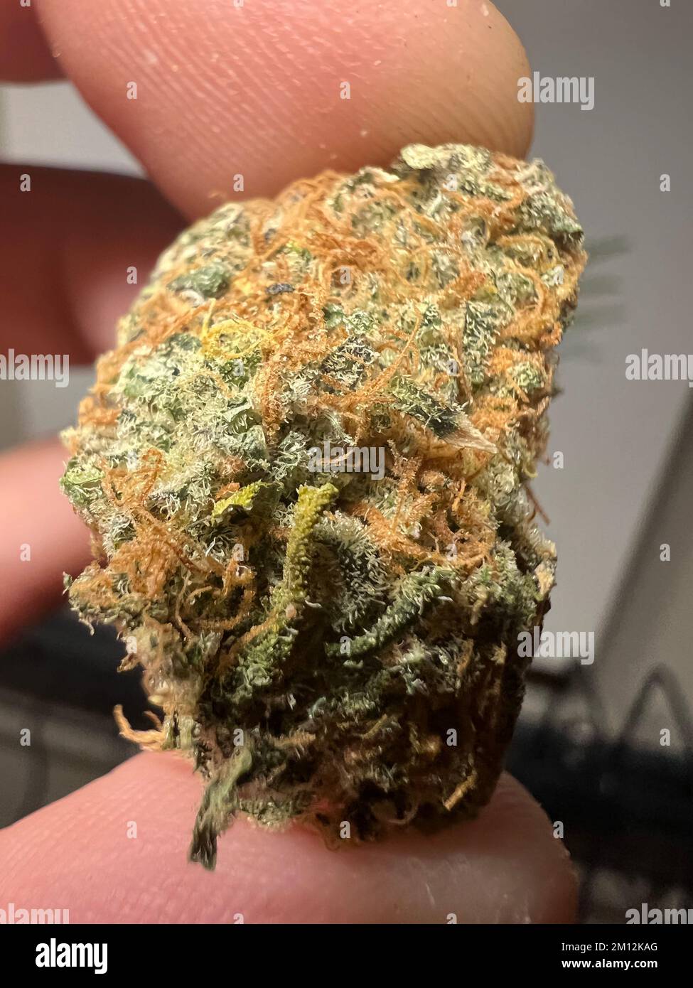 A closeup of a high-quality cannabis sample Stock Photo - Alamy