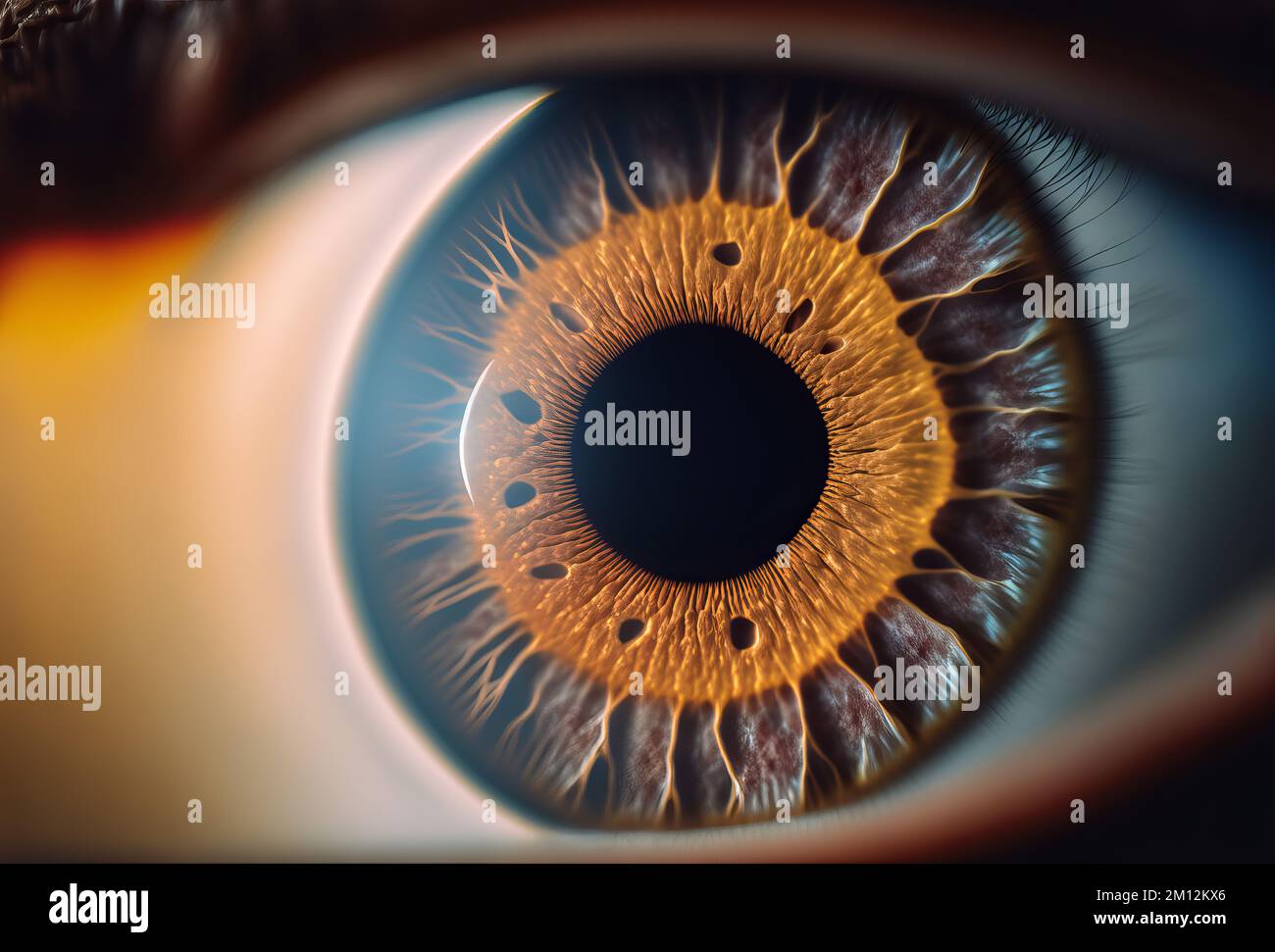 Human eye iris blue hi-res stock photography and images - Alamy