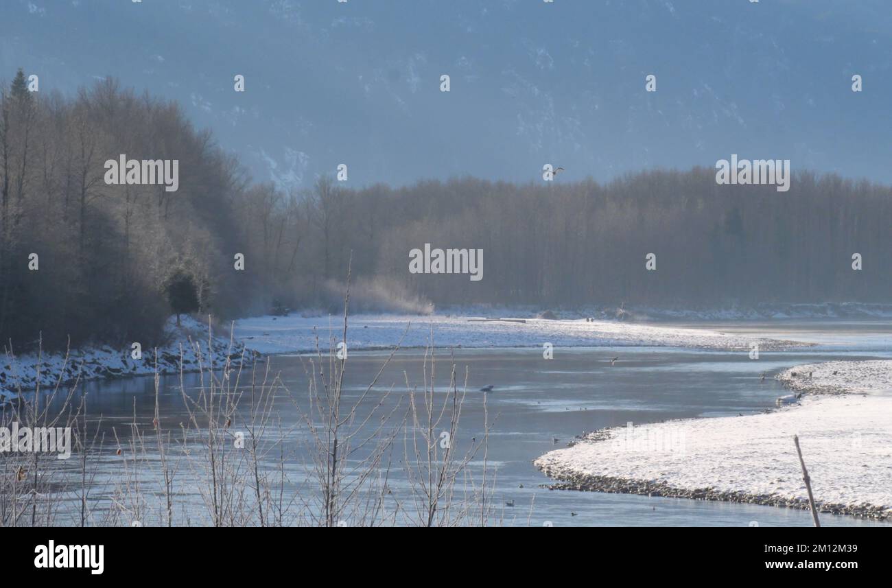 Winter landscape of the Eagle Run dike in Brackendale, Squamish ...