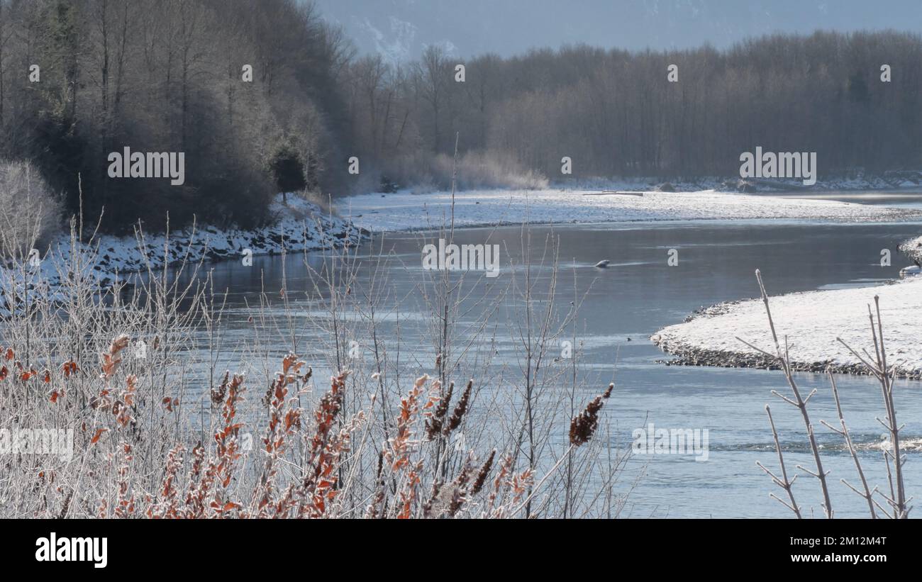Winter landscape of the Eagle Run dike in Brackendale, Squamish ...