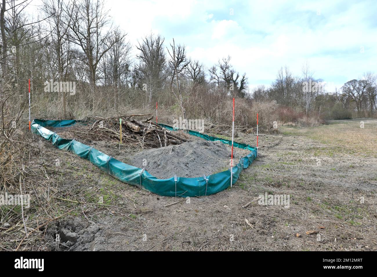 Artificial replacement biotope with foil fence for the relocation of ...