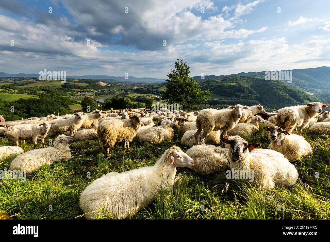 View point in rytro hi-res stock photography and images - Alamy
