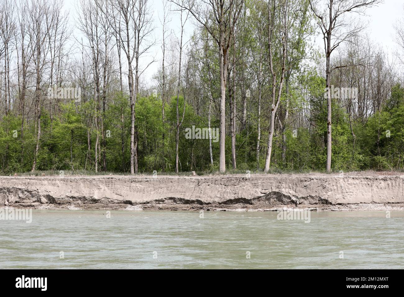 Signs of river bank erosion hi-res stock photography and images - Alamy